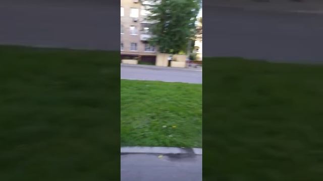 Вопрос от подписчика Василия Пресненского о бордюрах и асфальте в Москве!