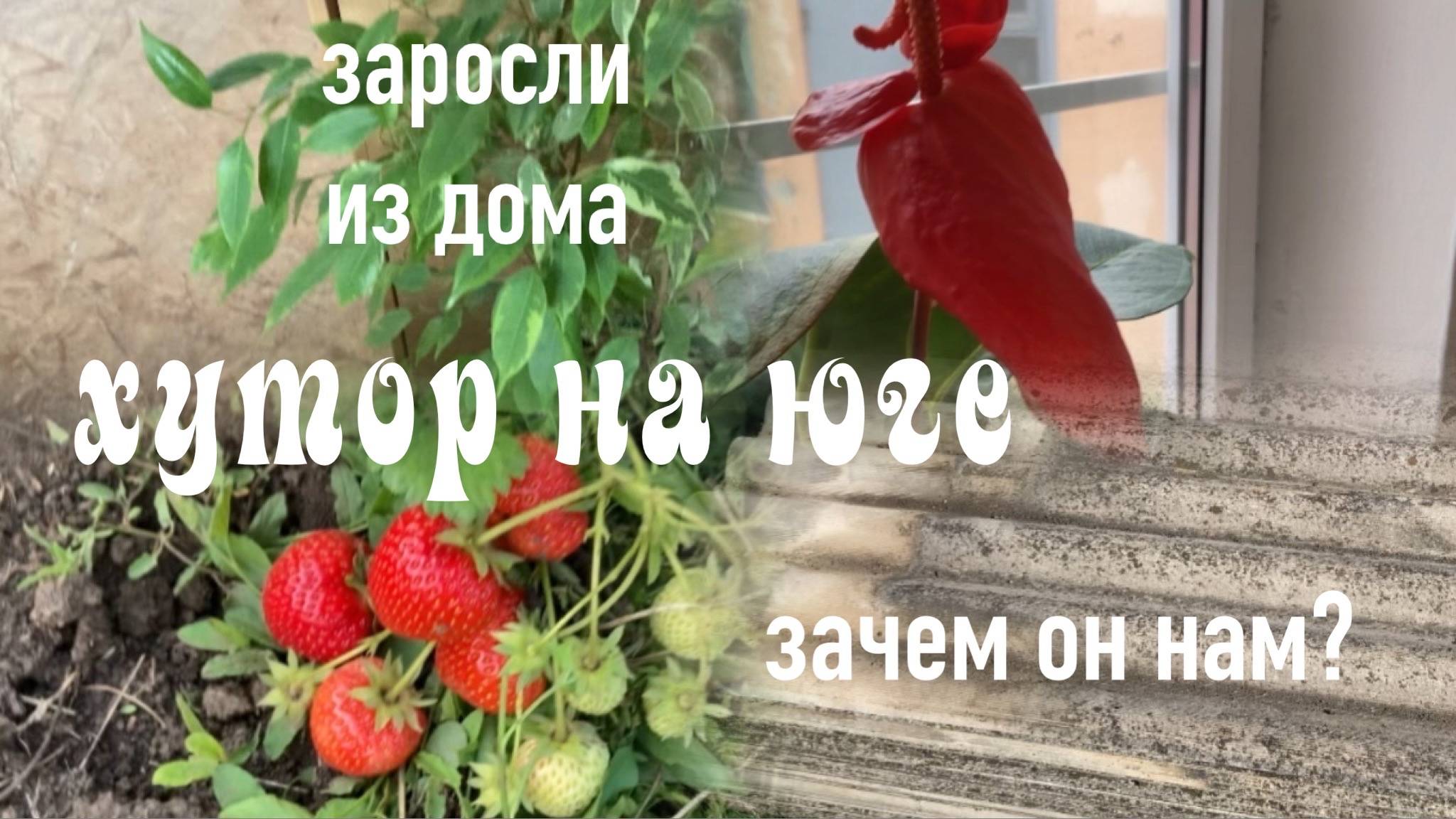 Жизнь на юге/Им там нравится/Вкусный обед/ Туда и такой сойдет/ Черешни не будет/