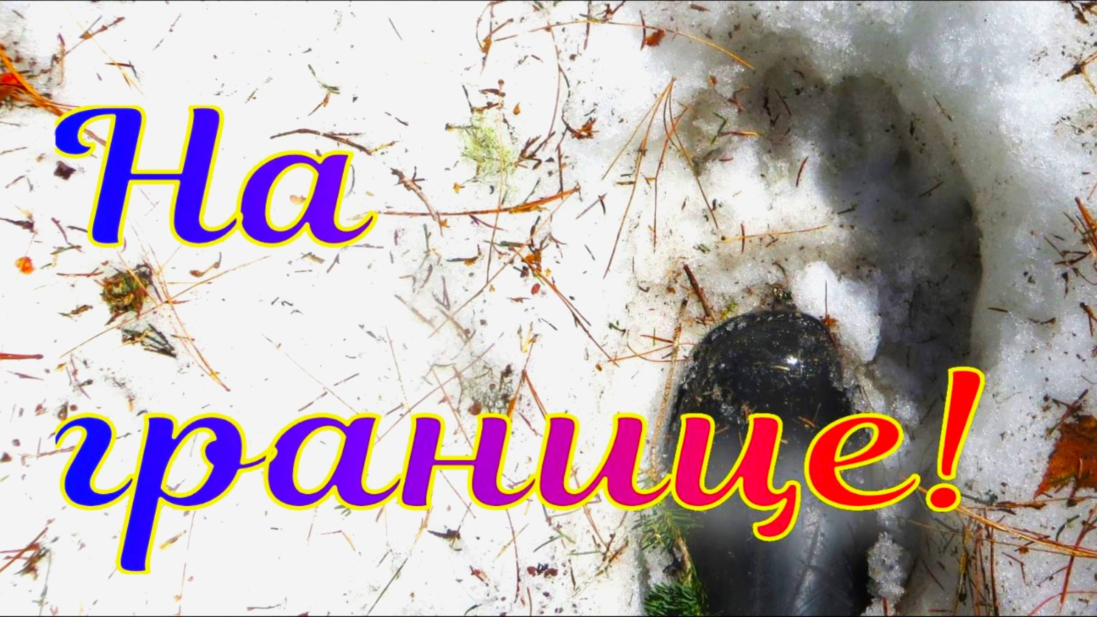 Тайга весна отправился на медвежью границу медведи активно ходят территорию пока не метят скоро гон
