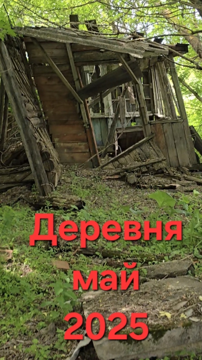 Деревня (Май 2025)