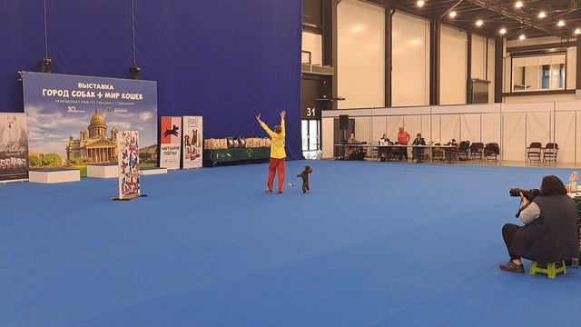 1000011530.mp4.Танцыссобаками.Ирина Латинская.Экспофорум.Санкт-Петербург.2025.