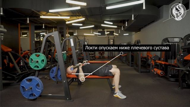 Жим_штанги_лежа_на_горизонтальной_скамье