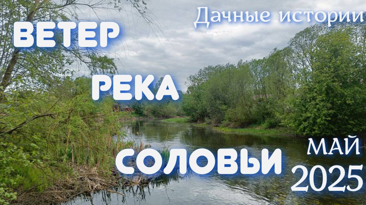 ВЕТЕР РЕКА СОЛОВЬИ | Май 2025 | Дачные истории