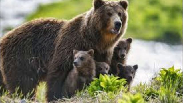 №16"Тютчев. В воспоминаниях, в стихах и прозе"