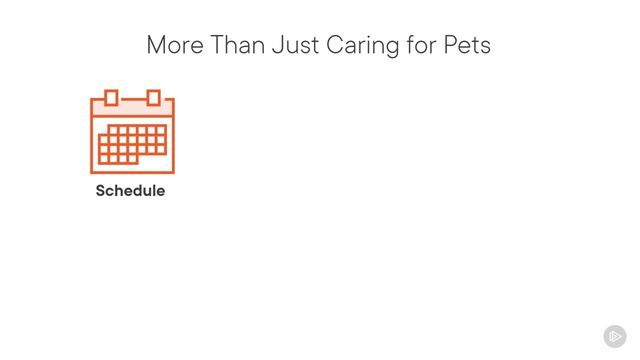 12. Introducing Our Domain