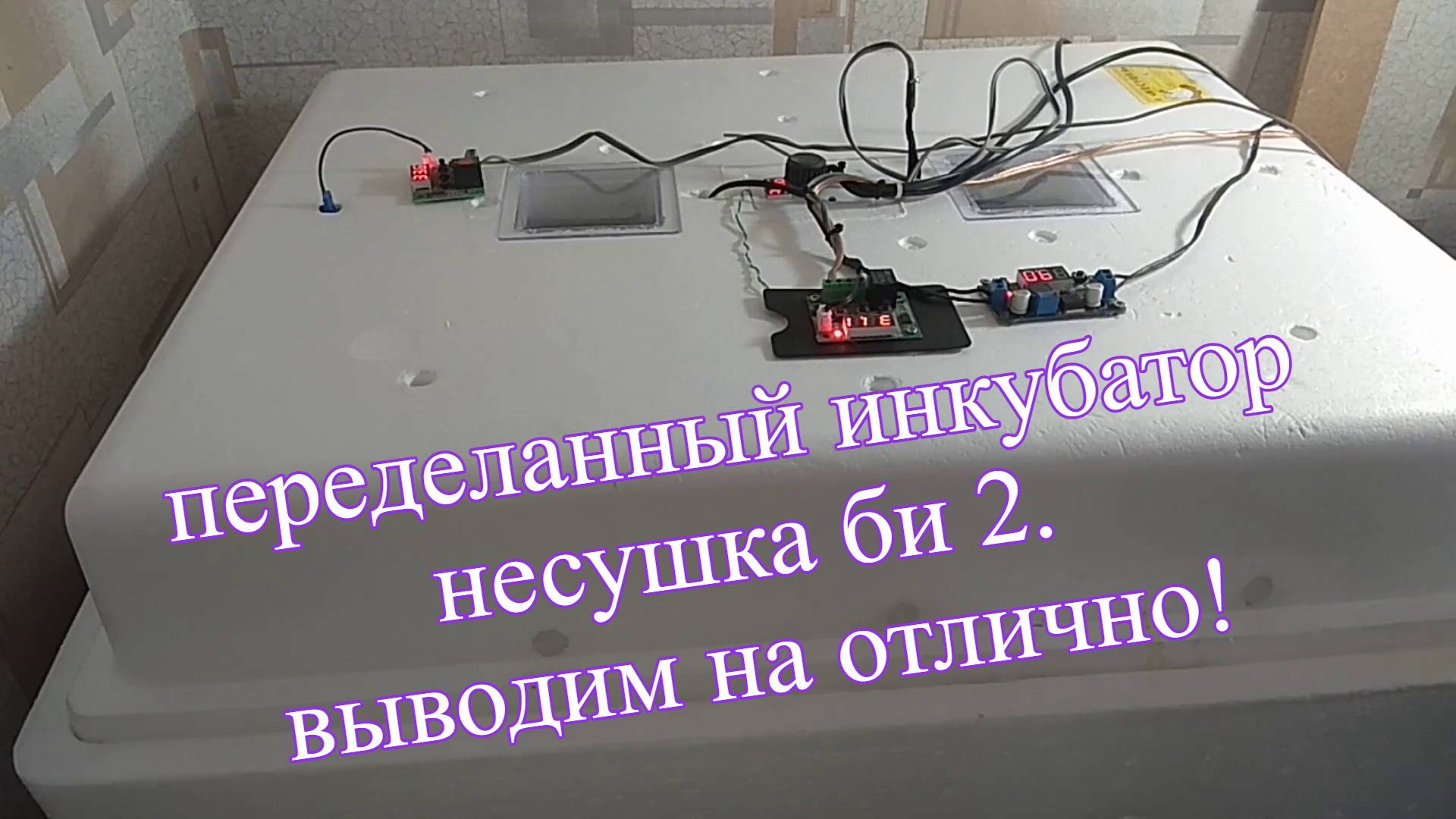 переделанный инкубатор несушка би 2. выводим на отлично!