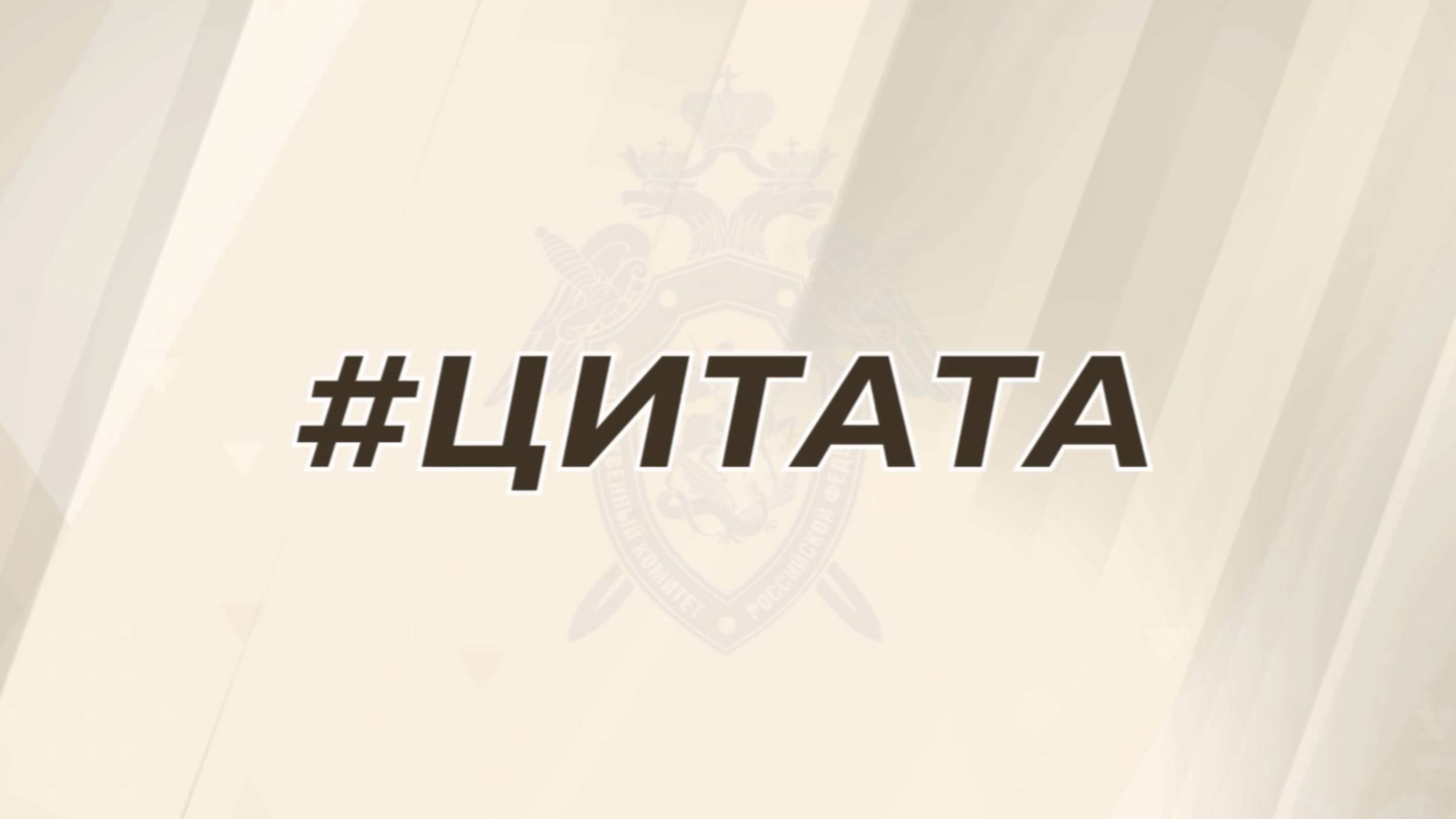 Из интервью А.И. Бастрыкина информационному агентству ТАСС