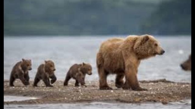 №8"Тютчев. В воспоминаниях, в стихах и прозе"