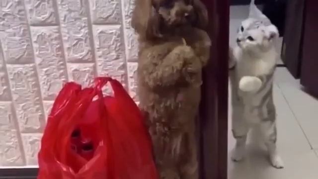 Я ничего не брал