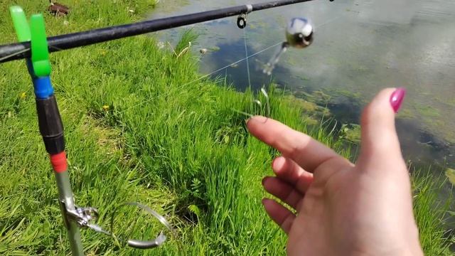 Жизнь за кадром . Рыбалка 🐟