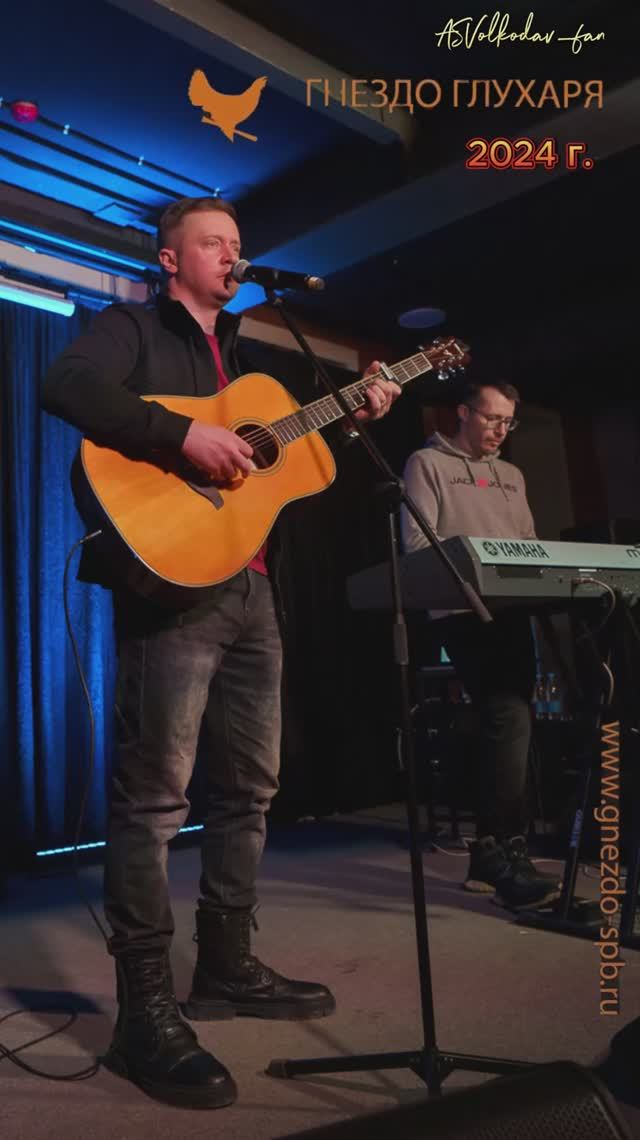 #закадром Александр Волкодав в "ГНЕЗДЕ ГЛУХАРЯ" Питер, 2024 г #гнездоглухаряспб #александрволкодав