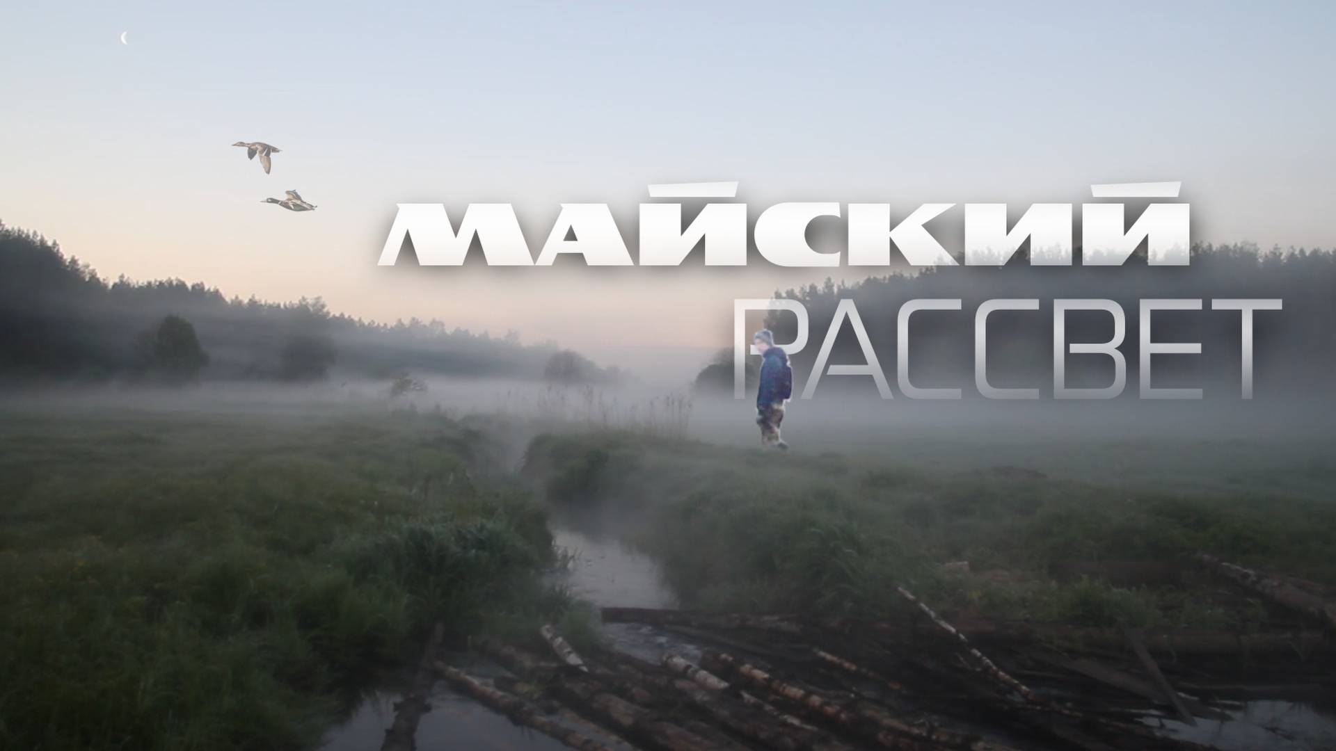 Встретил рассвет на лесной речке. Слушаю соловьёв и гоняюсь за коростелем (+утки)