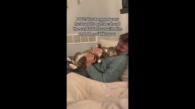 Смешные коты 4