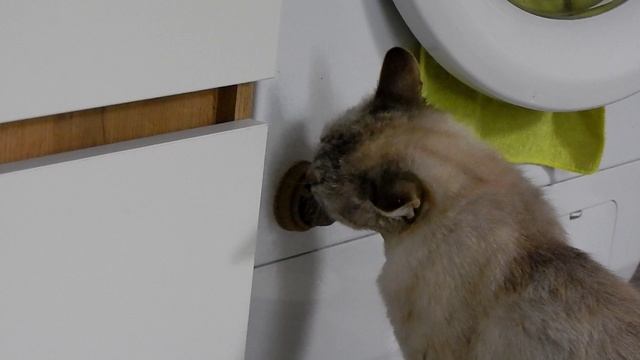 Мурзилка мятный шарик