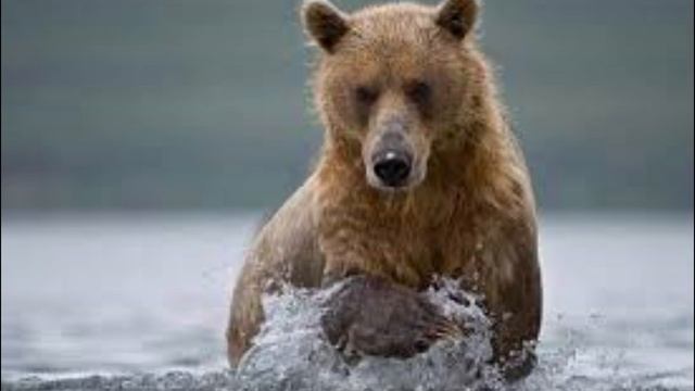 №19"Тютчев. В воспоминаниях, в стихах и прозе"