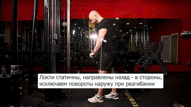 Трицепс_с_верхнего_блока_с_прямой_рукоятью_High_Pulley_Cable_Triceps