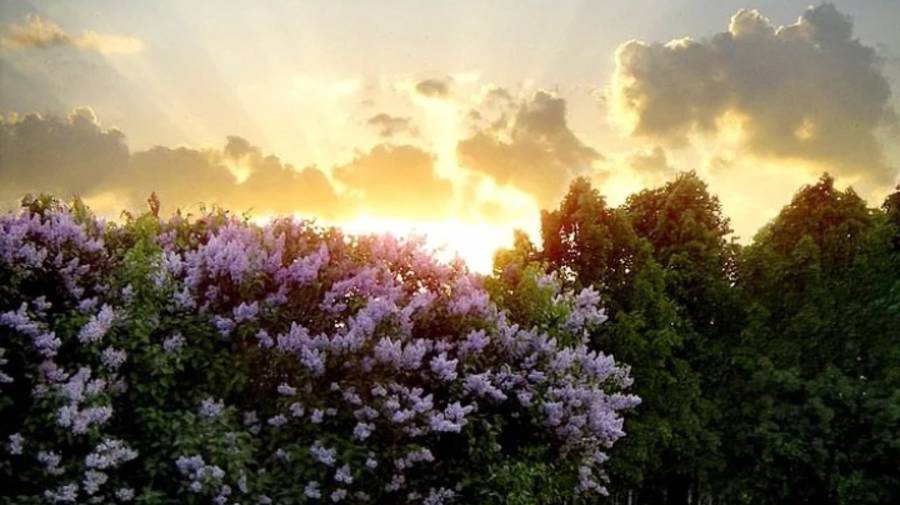 Май. Времена года. Антонио Вивальди.