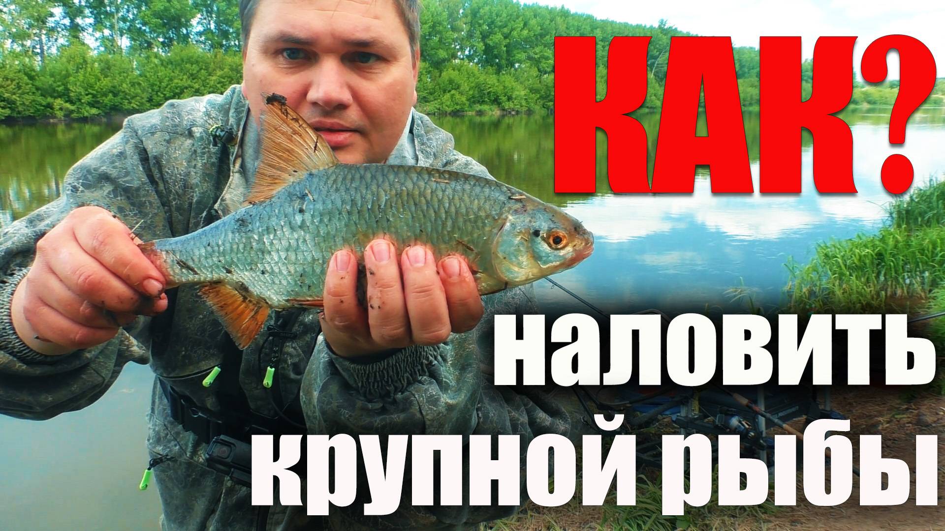 УШЕЛ от ТОЛПЫ и НАЛОВИЛ ОГРОМНОЙ ПЛОТВЫ, КРУПНЫХ КАРАСЕЙ и ЯЗЕЙ. Рыбалка на фидер на реке ДОН