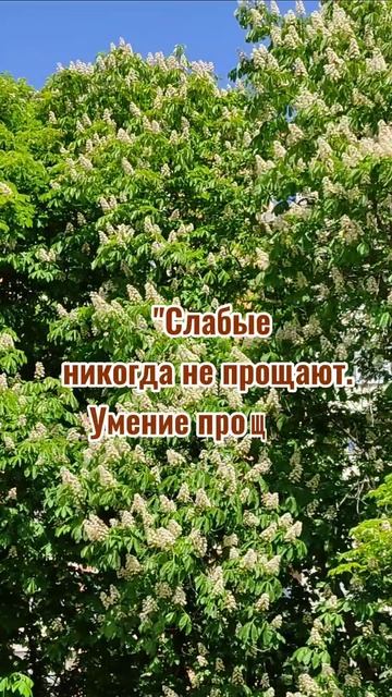 Свойство сильных  #мудрыемысли