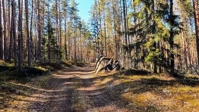 У природы нет плохой погоды!