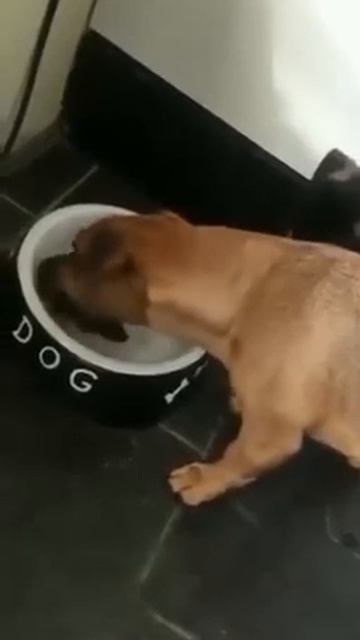 Мне кажется или нет