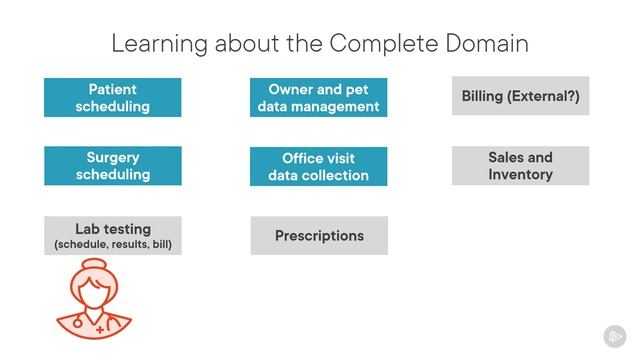 14. Conversation with a Domain Expert-Exploring the Domain and Its Subdomains