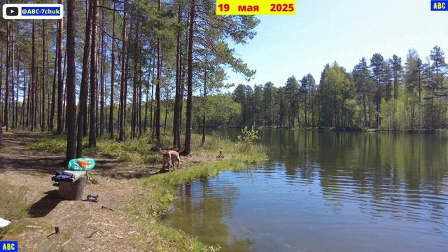 Продолжение закаливания и фитнеса 20.05.25 (4К) #юныйпрадедбодрыйдед