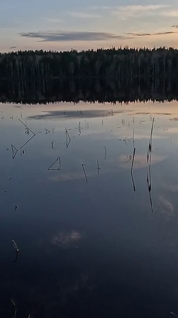 В час тишины. Весна. Май. Белая ночь.