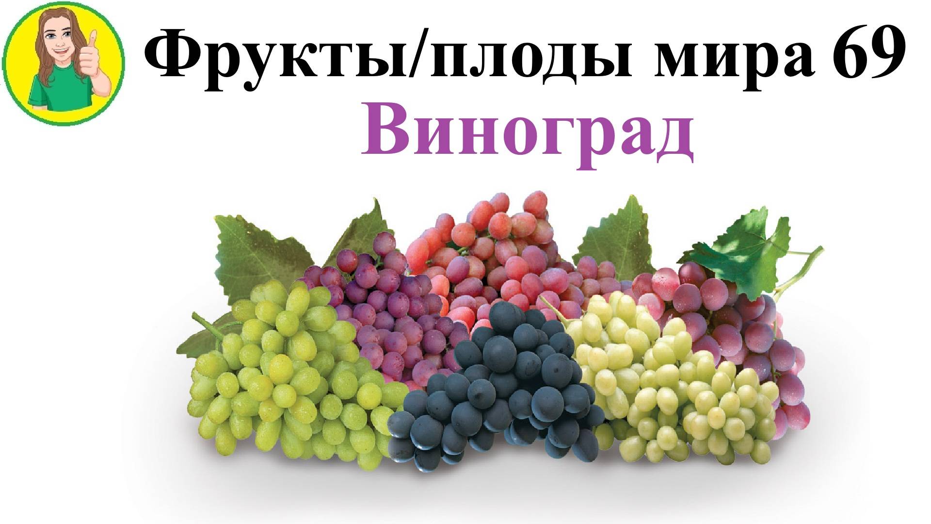 Фрукты - плоды мира 69 – Виноград Сыроедение Фрукторианство