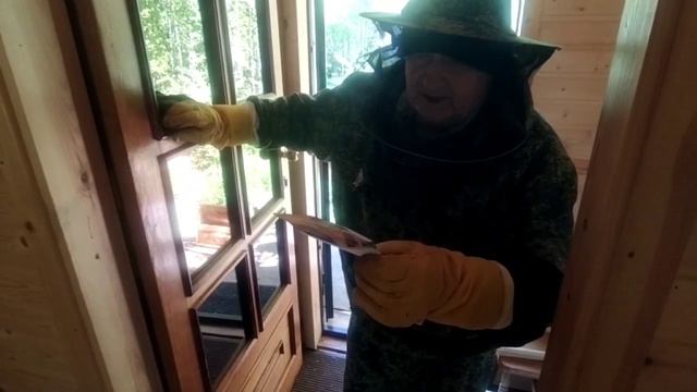 Крутой Апидомик