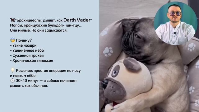 🎥 Подробная видео-лекция о причинах и лечении кашля у собак