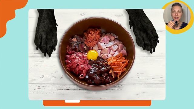 🥩 Лекция ветеринарного диетолога Валентины Тифановой