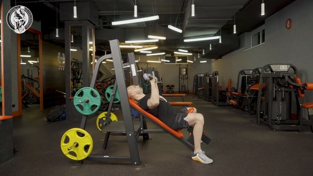 Жим штанги на наклонной скамье