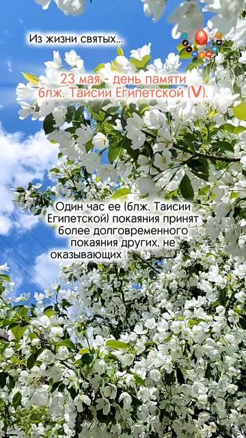 Один час спасения...