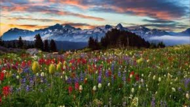 №9"Тютчев. В воспоминаниях, в стихах и прозе"