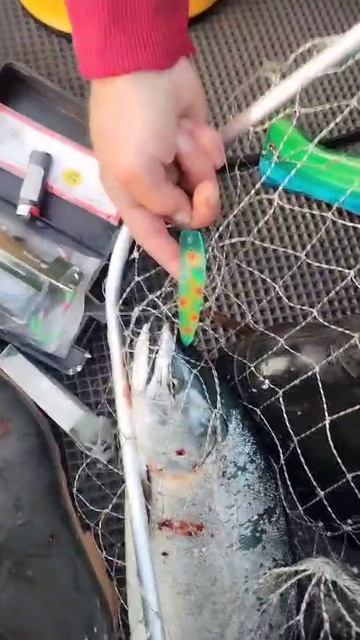 Роману , спасибо за отчет 😎