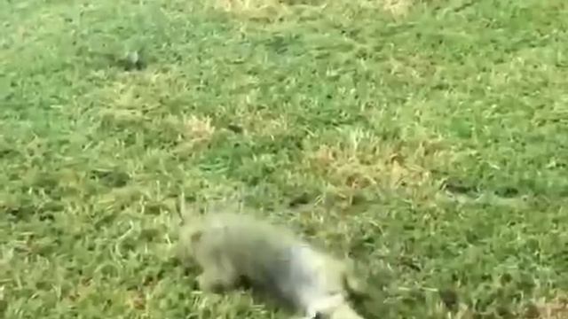 Слияние с природой