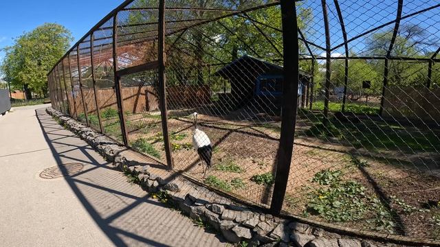 Ленинградский зоологический парк 2025 часть 1