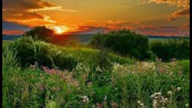 №6"Тютчев. В воспоминаниях, в стихах и прозе"