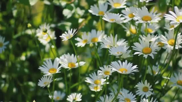 БОГ ВЕЗДЕ! Красивые стихи для души! Стихи о Боге, поэзия души, Божественная любовь