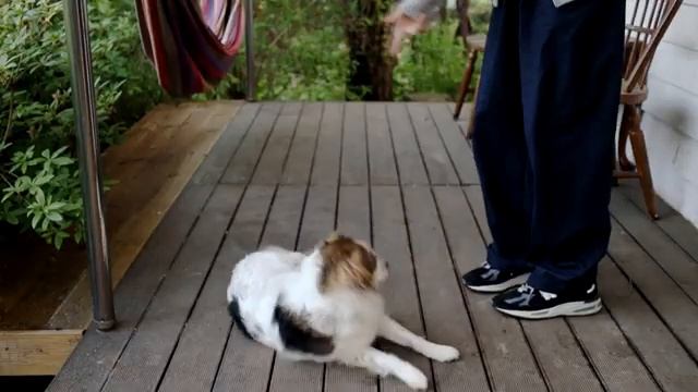 nyangsoop  май 2025