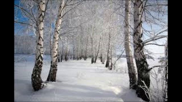 №18"Тютчев. В воспоминаниях, в стихах и прозе"