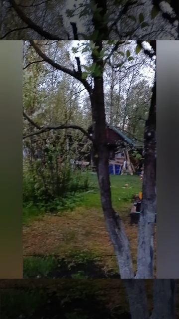 Белые ночи 🌛