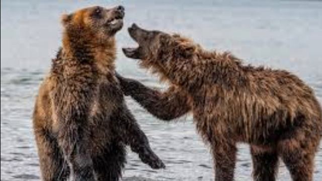 №14"Тютчев. В воспоминаниях, в стихах и прозе"