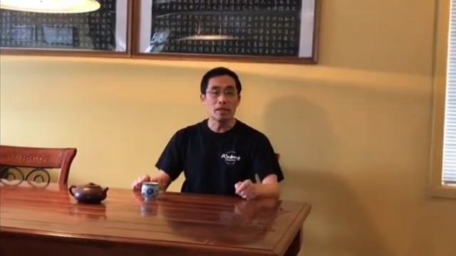 Хай Ян Уроки Синъи (проект «Возвращение китайской практики») на русском языке-3