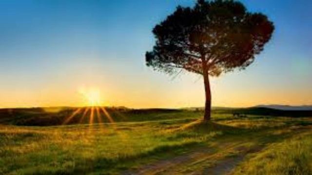 №1"Тютчев. В воспоминаниях, в стихах и прозе"