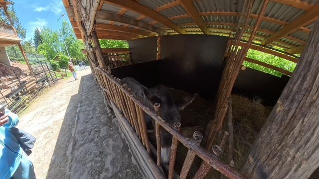 Кисловодск и  окрестности. Медовые водопады.