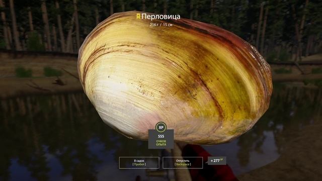 Русская Рыбалка 4 (Перловица) р.Вьюнок