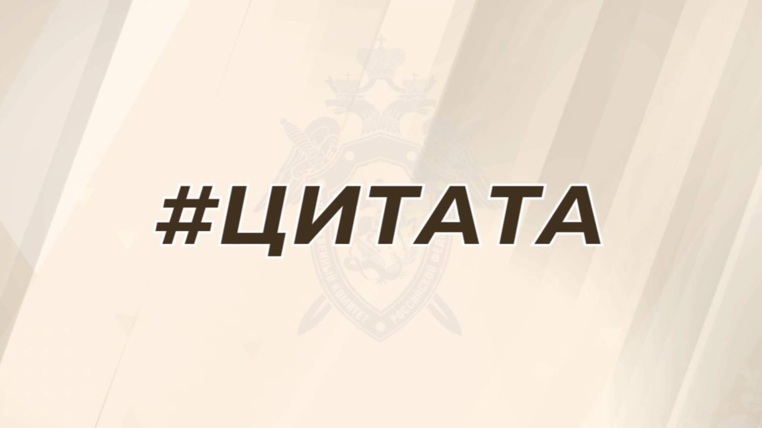 Из интервью А.И. Бастрыкина информационному агентству ТАСС