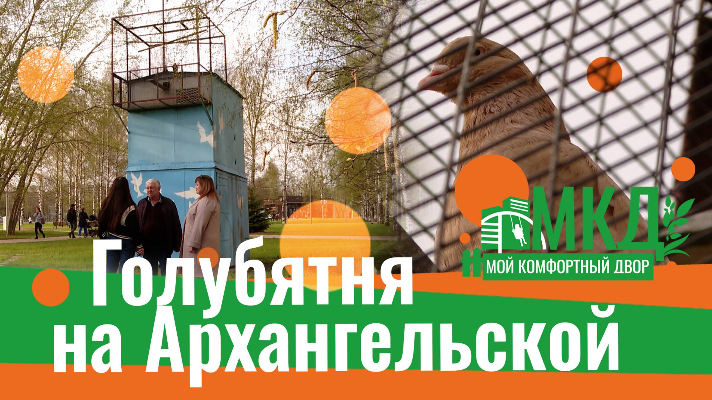 Голубятня на Архангельской